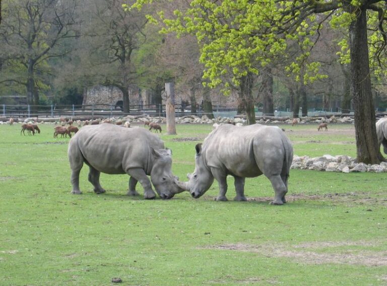 Home - Kibsi | Computer Vision Platform